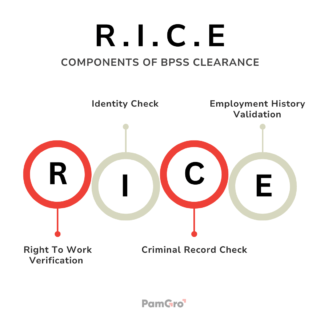 Everything You Need To Know About BPSS Clearance